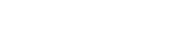 Homerton University NHS Foundation Trust - Impact Assessment - Summary ...